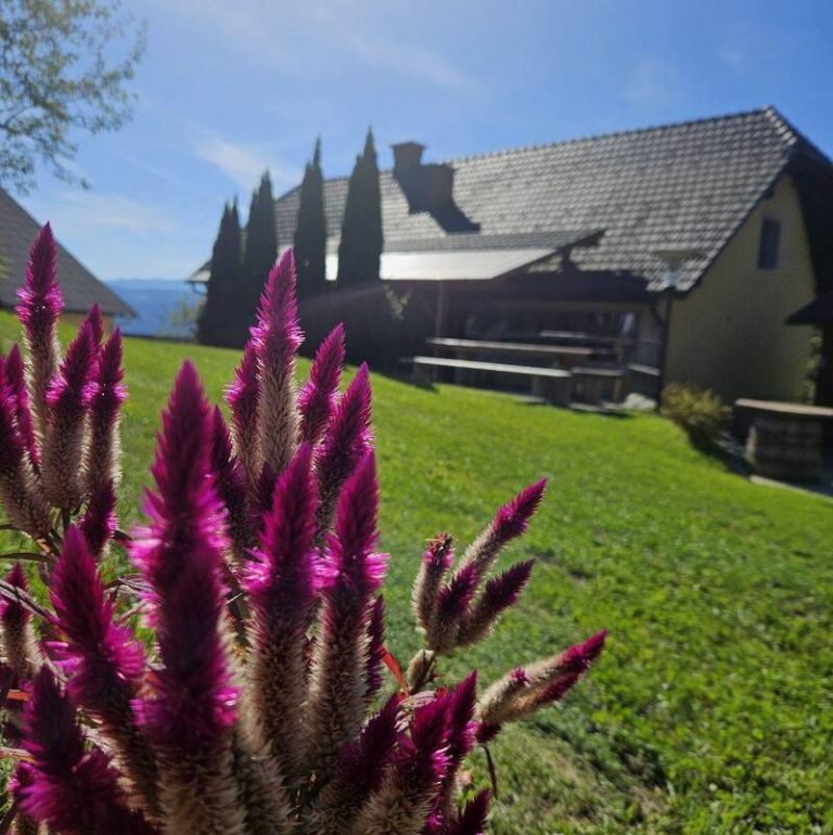 turistična kmetija susek e-poroka22 - E-poroka